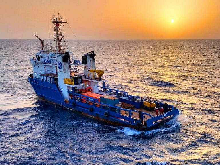 SAROST | Company History